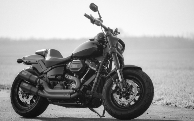 10 Best Harley-Davidson Models For New And Beginning Riders 2024 ...