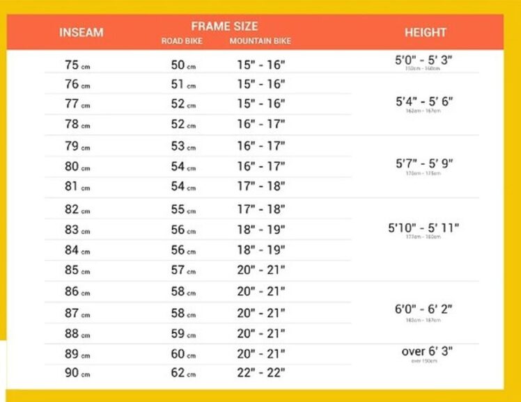 26 Inch Bike for What Size Person - Quadro Vehicles
